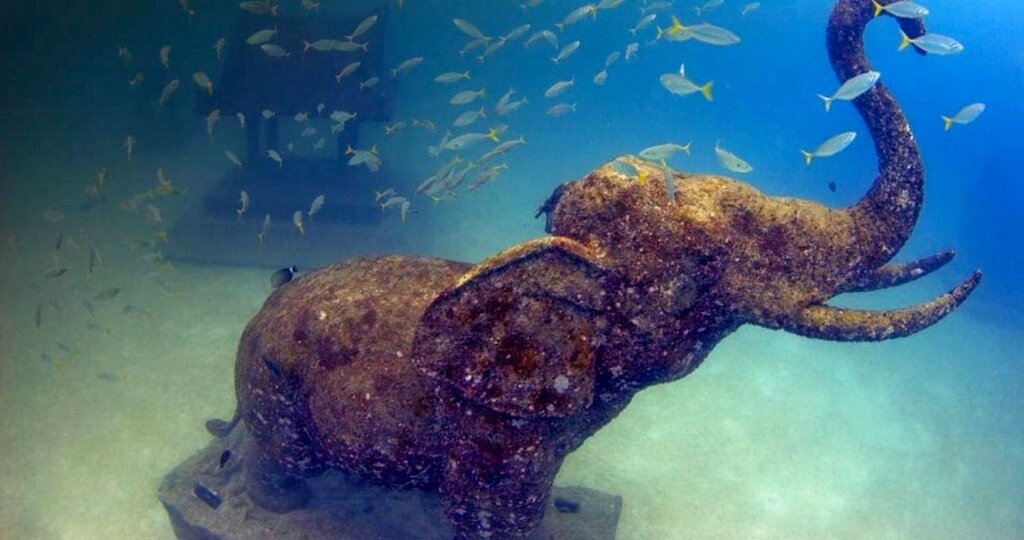 Geziler Diving in Phuket Reviews Price Avitip, Phuket, foto