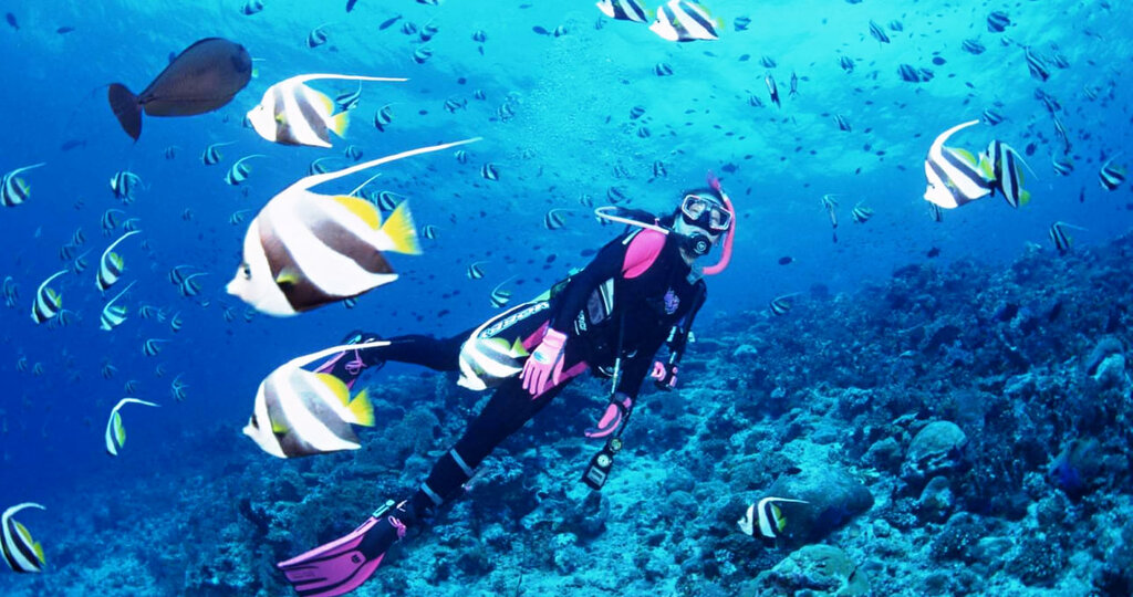 Geziler Diving in Phuket Reviews Price Avitip, Phuket, foto