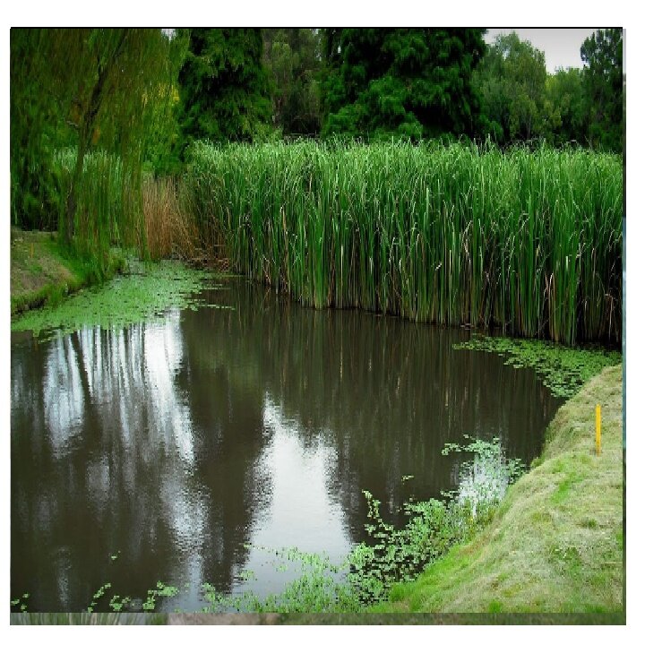 Kış bahçeleri, teraslar, verandalar Ecoaqua, , foto
