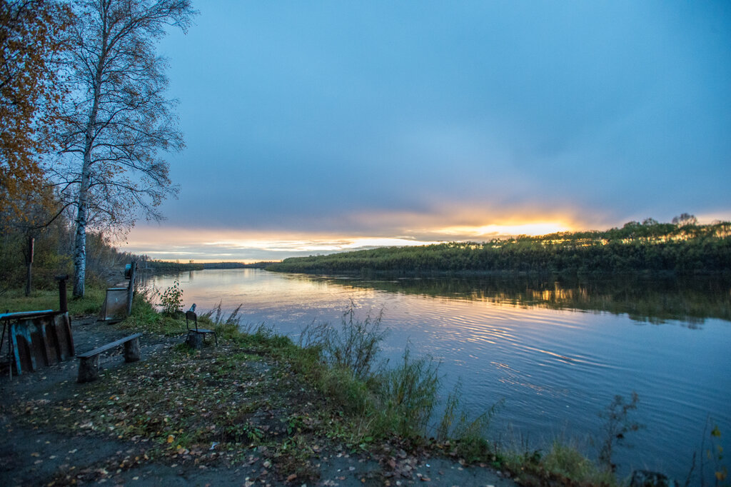 Parklar ve ormanlar Gosudarstvenny prirodny zapovednik Norsky, Amursk Bölgesi, foto