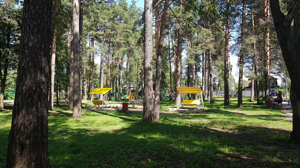 Oyun alanı Playground, Pestovo, foto