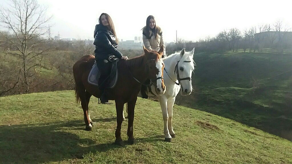 At ve binicilik kulüpleri Конные прогулки Kve_elita, Rostov‑na‑Donu, foto