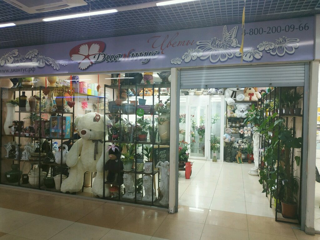 Çiçek teslimatı Diantus, Orenburg, foto