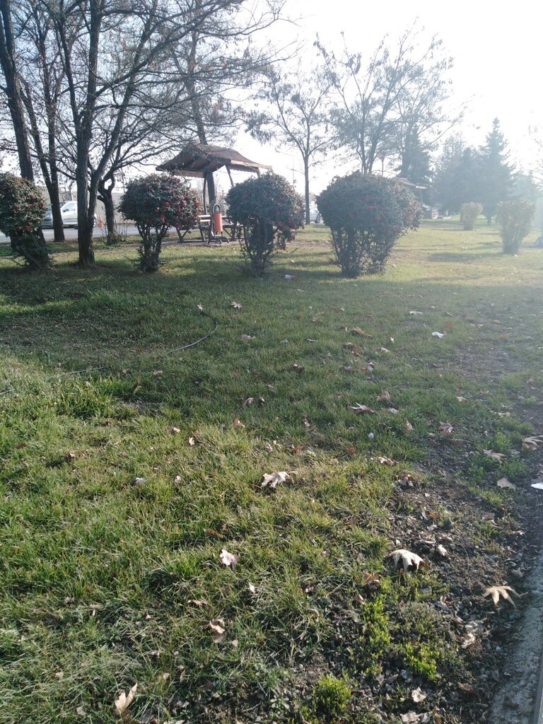 Parklar ve ormanlar İller Bankası Dinlenme Parkı, Ankara, foto