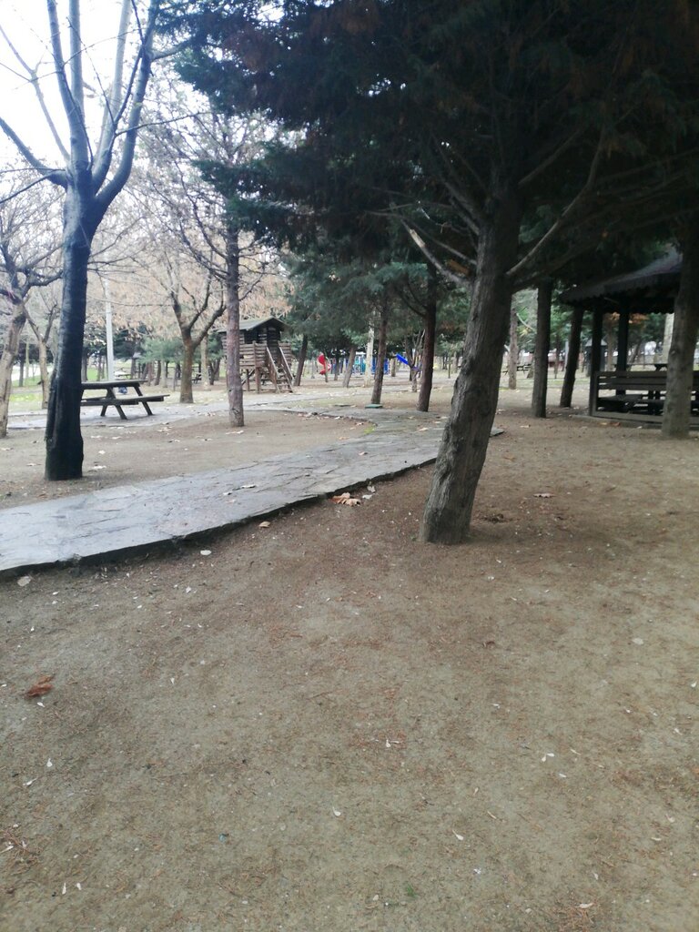 Piknik alanı Bahçelievler Piknik Alanı, İstanbul, foto
