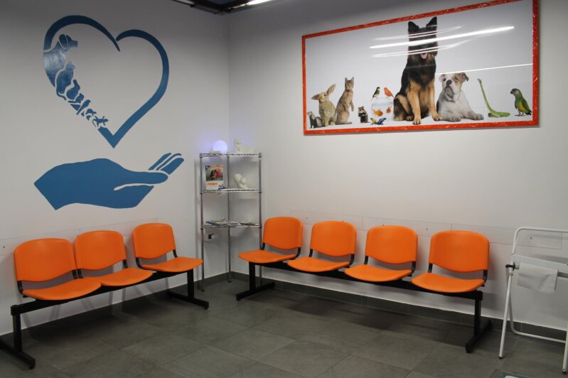 Petshop Ambulatorio Veterinario Associato Dott. ssa De Francesco e Dott. Gentile, Taranto, foto