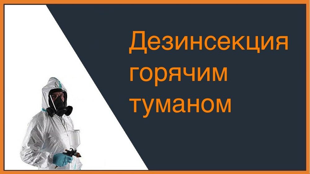 Haşere ilaçlama firmaları Turboklop, Lomonosov, foto