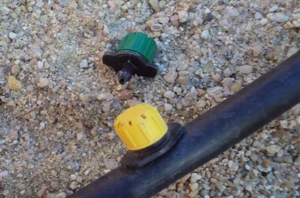 Yönetim ofisi Systems and Irrigations, Cali, foto