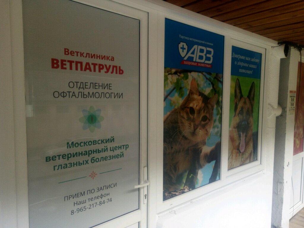 Evcil hayvan kuaförleri Moscow veterinary center of eye diseases Dr. Oleynik, Soçi, foto