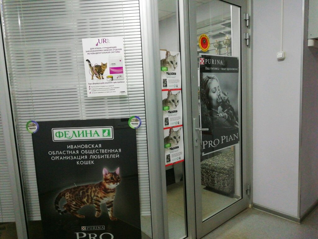 Hayvanat bahçesi merkezi Фелина, İvanovo, foto