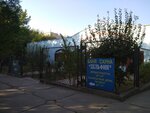 Dolphin (No:7/2, 15-shi shaǵyn aýdan, Shymkent), hamamlar  Çimkent'ten (Şımkent'ten)