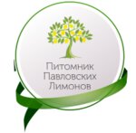 Pavlovolimon (ulitsa Romantikov No:16), sera ve bahçe ürünleri  Pavlovo'dan