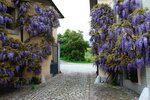 Chappuis Paysagiste (Chemin des Bulesses No:152, La Tour-de-Peilz), peyzaj tasarımı  Vaud'dan