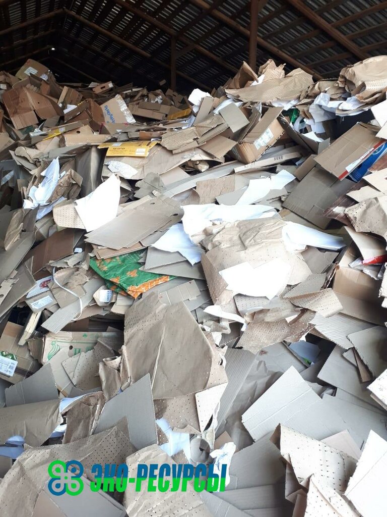 Geri dönüşüm maddeleri Eco-Resursy, Smolensk, foto