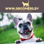 Www. Groomers.by (Kalinowskaga Street No:66А), petshop  Minsk'ten