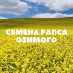 Pmp Vita-Agro (Rashpilevskaya ulitsa No:236), toptancılar  Krasnodar'dan