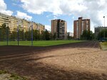 Стадион (Saint Petersburg, Vyborgskiy District, territoriya 1-ye Pargolovo), stadyum  Saint‑Petersburg'dan