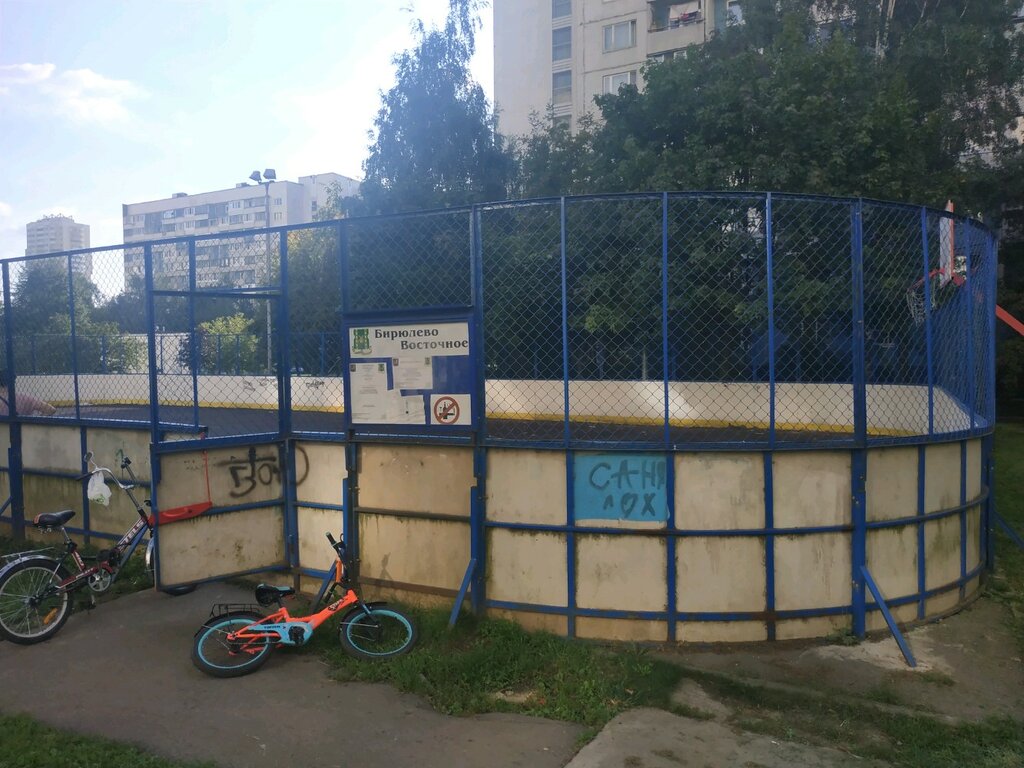 Spor alanı Спортплощадка, воркаут, Moskova, foto