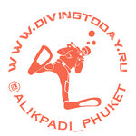 Divingtoday (Phuket), dalış kulüpleri ve eğitim merkezleri