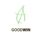 GoodWin (Belinskogo Street No:60А, Nizhniy Novgorod), pencere üretim, satış ve montaj firmaları  Nijni Novgorod'dan