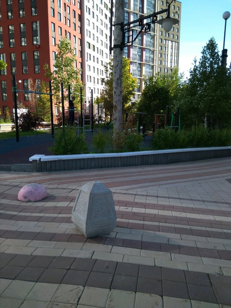 Spor alanı Спортплощадка, Moskova, foto