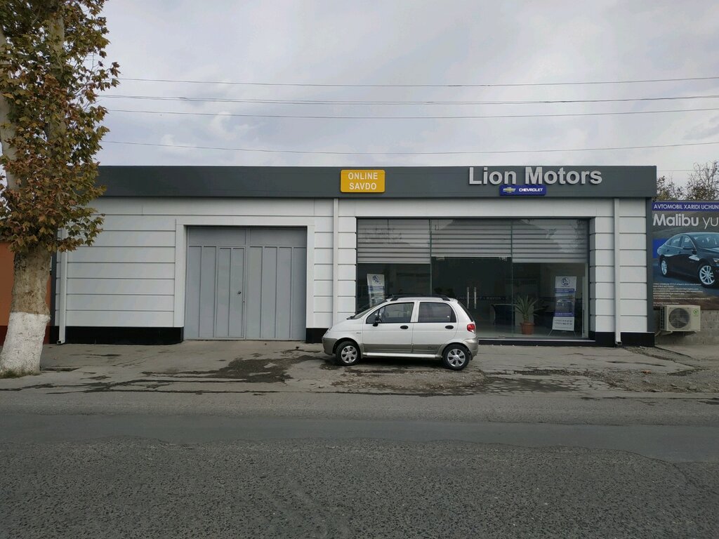 Otomobil satış galerileri Lion Motors, Fergana, foto