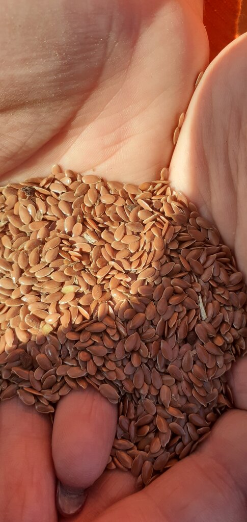 Tarım firmaları Крестьянско-фермерское хозяйство, Novosibirskaya oblastı, foto