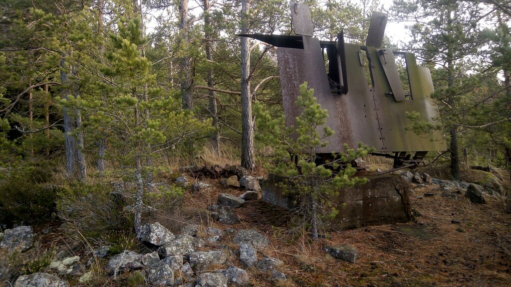 Turistik yerler Последняя пушка Тютерса, Saint‑Petersburg ve Leningradskaya oblastı, foto