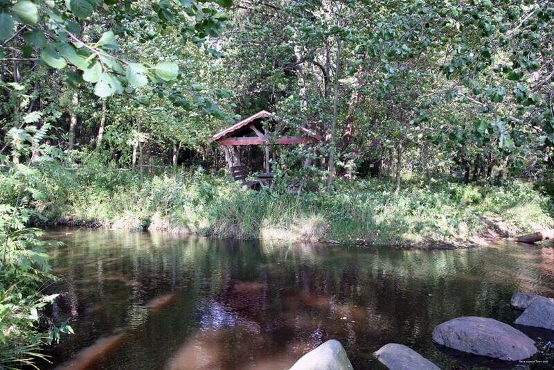 Resort oteller, tesisler База отдыха Трест грии, Saint‑Petersburg, foto