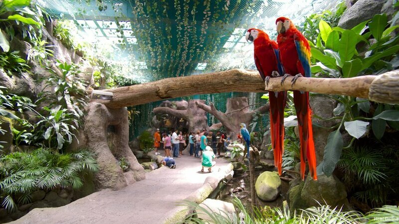 Otel Hotel Delfines, Veracruz, foto