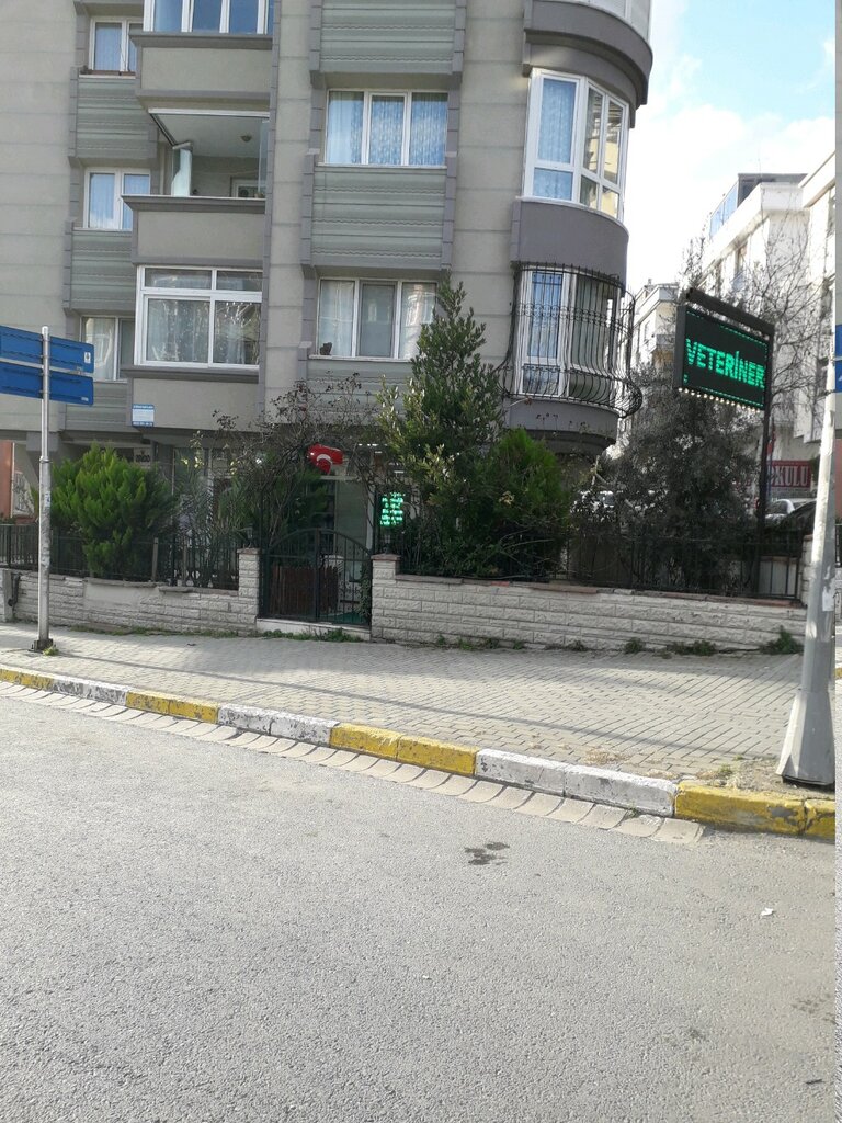 Veteriner klinikleri Pet Dünyası, İstanbul, foto