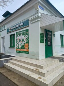 Alfscreen (Boldina Street No:1А, Schyokino), tıp merkezleri ve klinikler  Şçiokino'dan