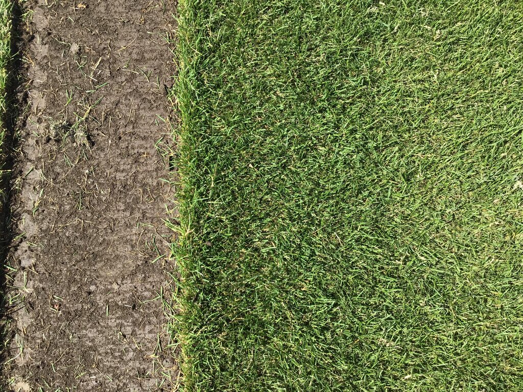 Tarım firmaları Tri sezona, Kırım Cumhuriyeti, foto