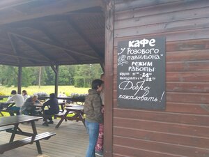 Cafe (St. Petersburg, Pushkinsky District, Pavlovsk, 9-ya Paradnaya alleya), kafe  Pavlovsk'tan