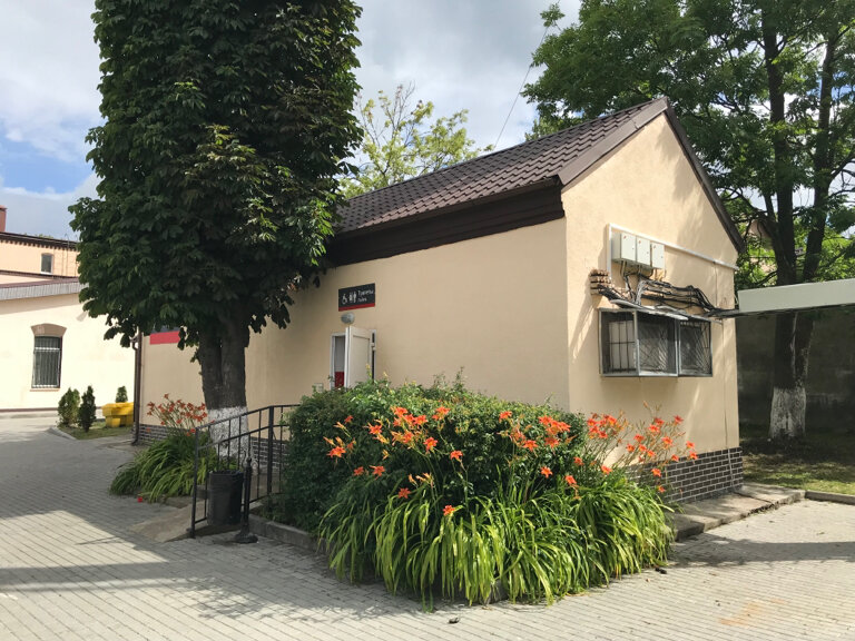 Tuvalet Public bathroom, Zelenogradsk, foto