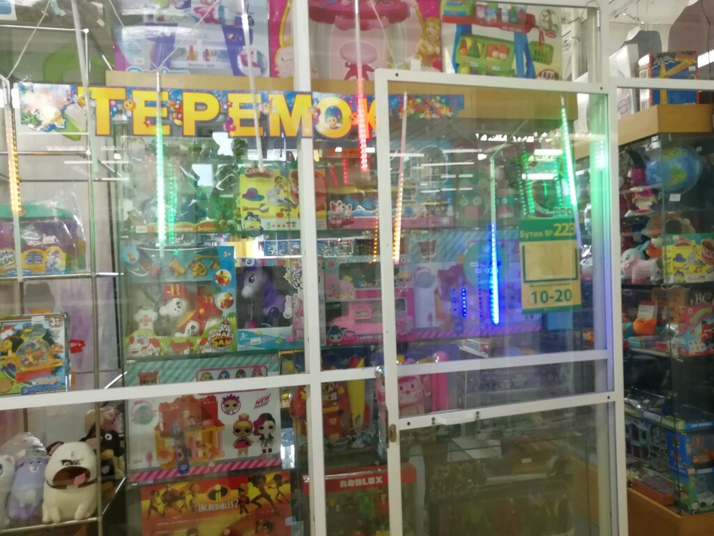 Çocuk oyunları ve oyuncakları Magazin Teremok, Vladivostok, foto
