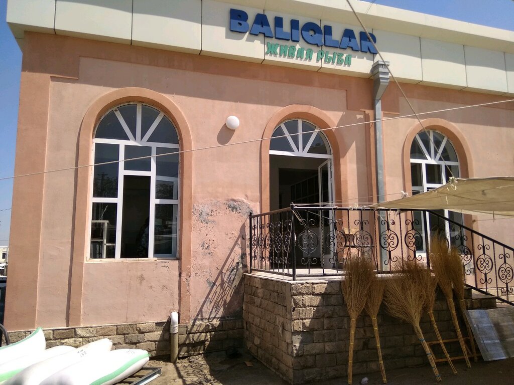 Balık ve deniz ürünleri Live Fish, Semerkant, foto