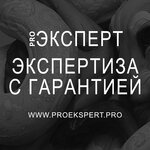Pro. Ekspert (Moskovskiy Avenue No:212), ekspertiz hizmetleri  Saint‑Petersburg'dan