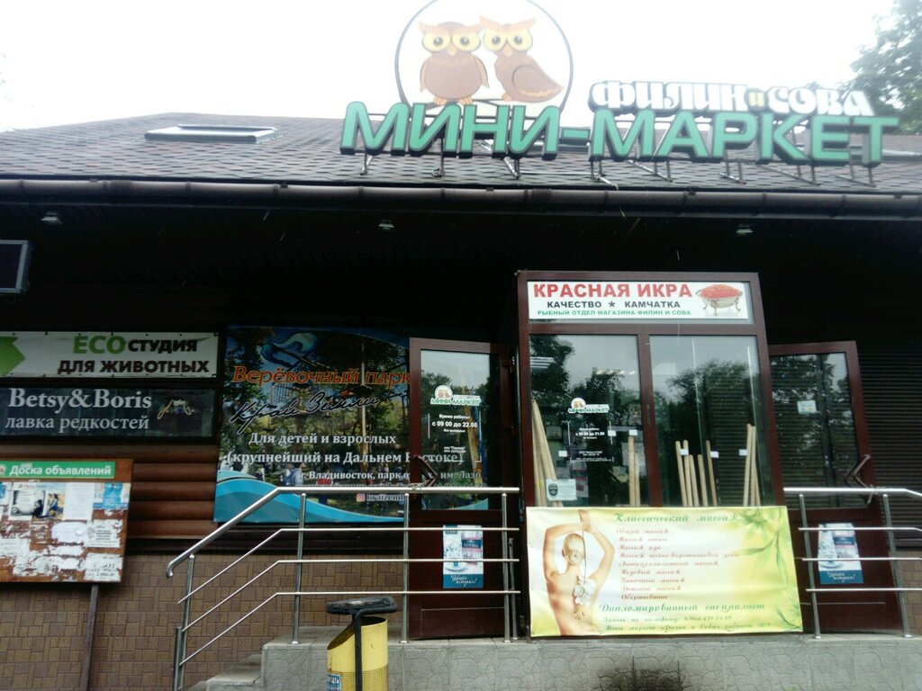 Kitap mağazaları Филин и Сова, Vladivostok, foto