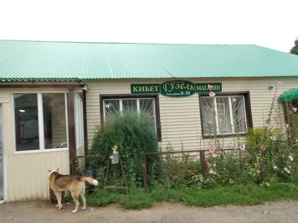 Mini-market Гузель, Tataristan, foto