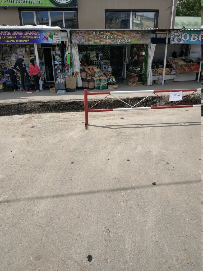 Tohum satan yerler Дом Сад Огород, Çeliabinsk, foto