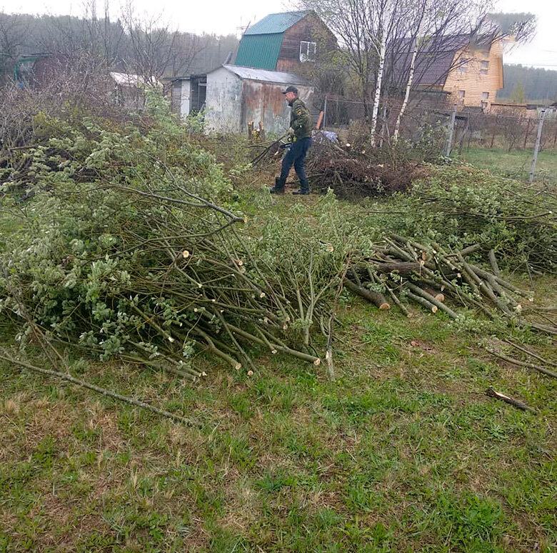 Şehir planlama DerevOff, Çehov, foto