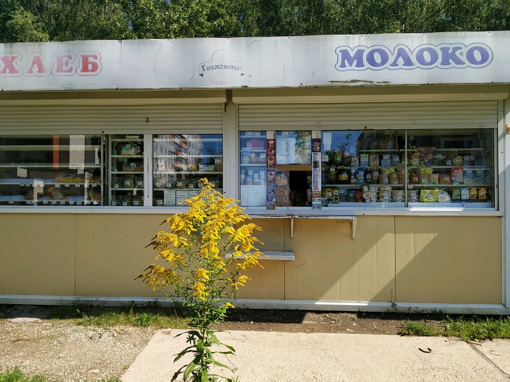 Ekmek fırını Магазин хлеба и продуктов, Kaluga, foto