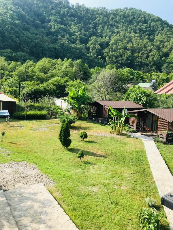 Resort oteller, tesisler Elena, Soçi, foto