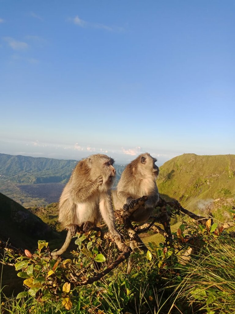 Turizm acenteleri Bali taxi driver, Denpasar, foto
