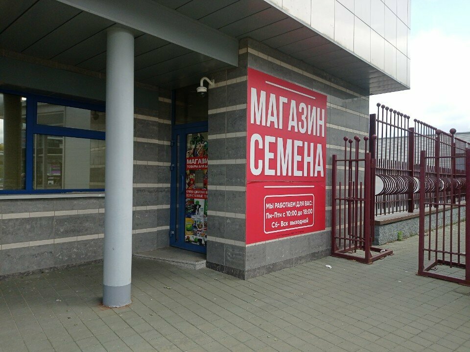 Tohum satan yerler Семена, Minsk, foto