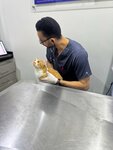 Cute Cat Veterinary Clinic (Al Falah camp, Muwaileh Commercial, Tugariet Muwaileh, Sharjah), veteriner klinikleri  Sharjah'tan