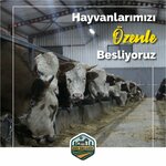 Zer Organik (İstanbul, Arnavutköy, Dursunköy Mah.), tarım firmaları  Arnavutköy'den