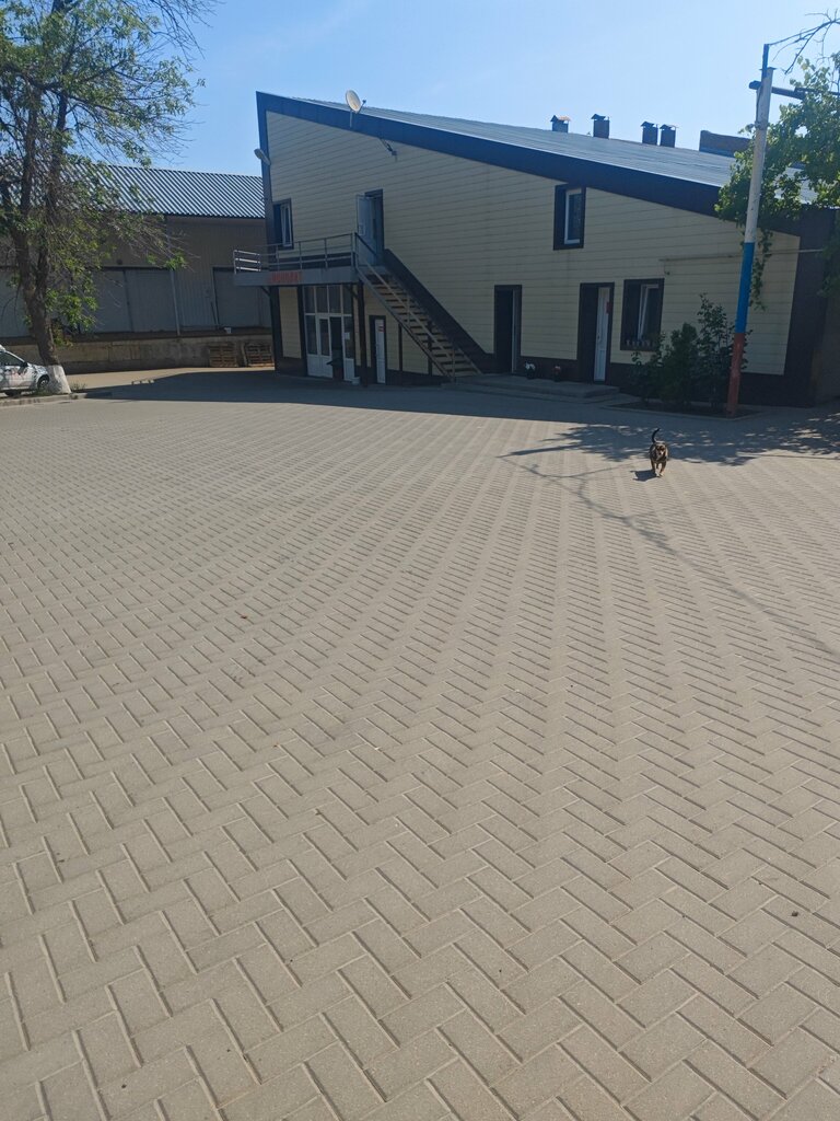 Balık ve deniz ürünleri Рыбный цех, Aksay, foto
