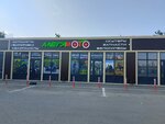 Мегамото (Dorozhnaya ulitsa No:1/11к1, posyolok Krasny), motosiklet satışı  Rostovskaya oblastından